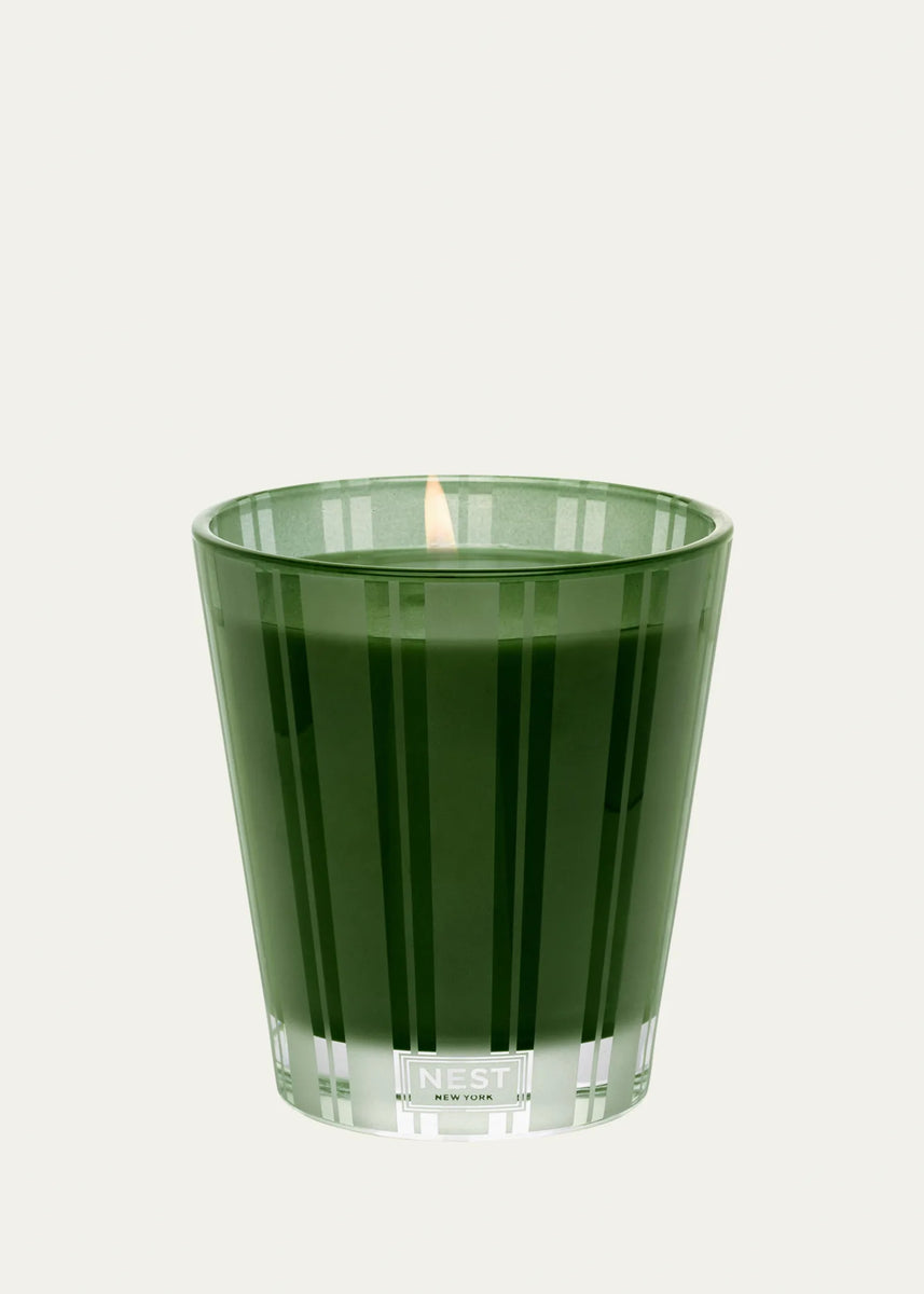 Midnight Moss & Vetiver Luxury Candle – Benjamin's & Libba's